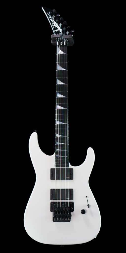 Jackson Custom Shop Order form | Axe Palace