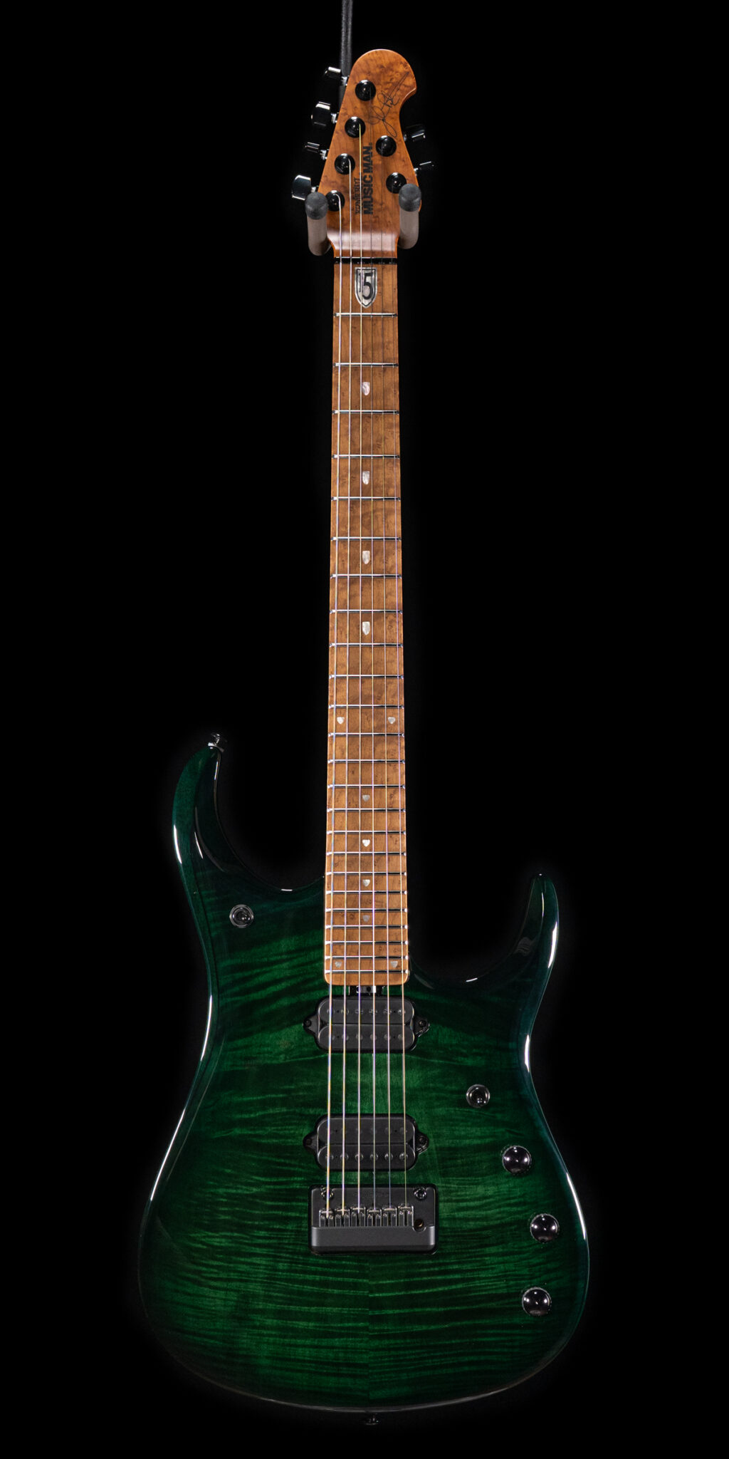 High Quality Guitars | Axe Palace