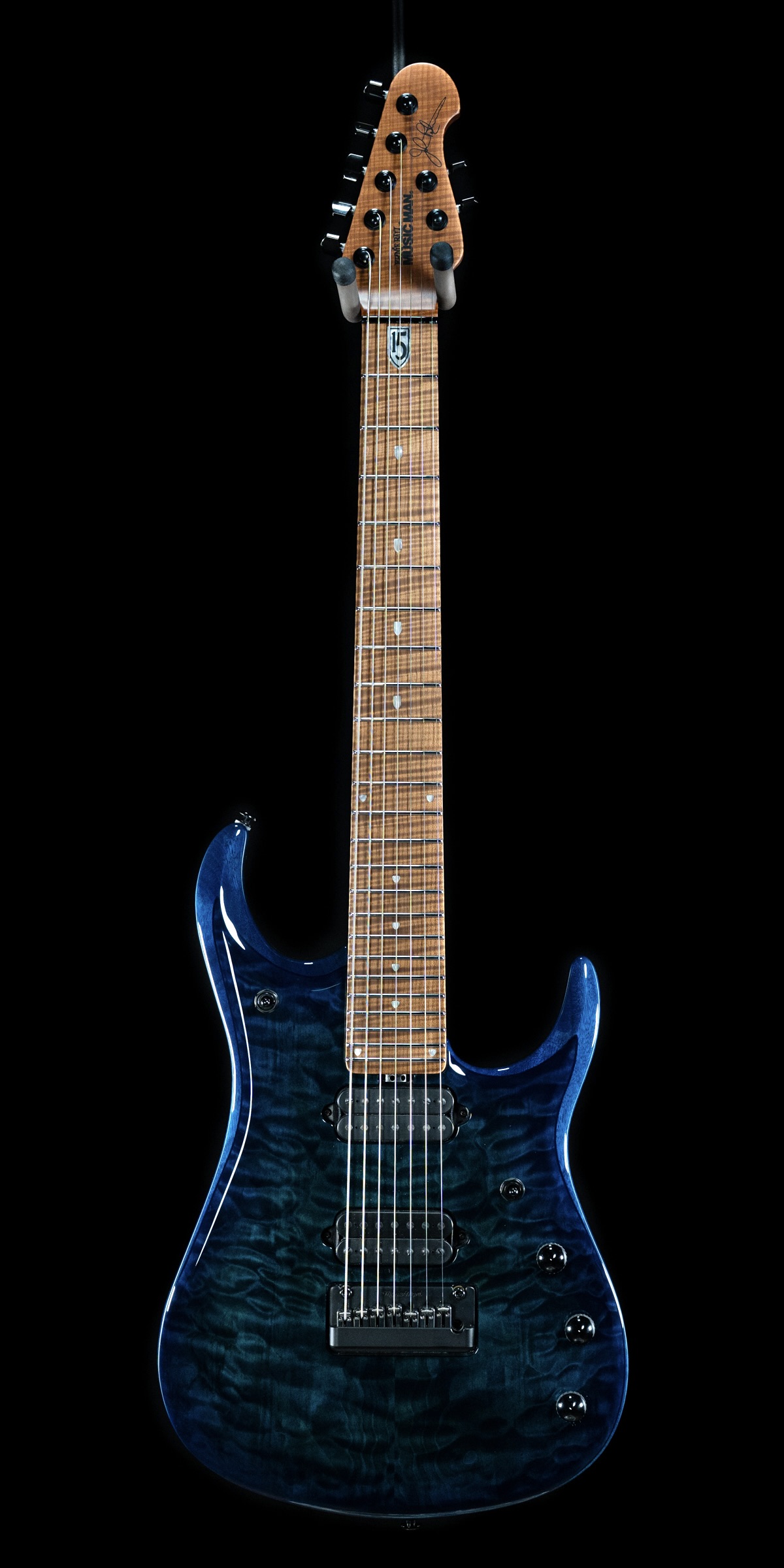 High Quality Guitars | Axe Palace